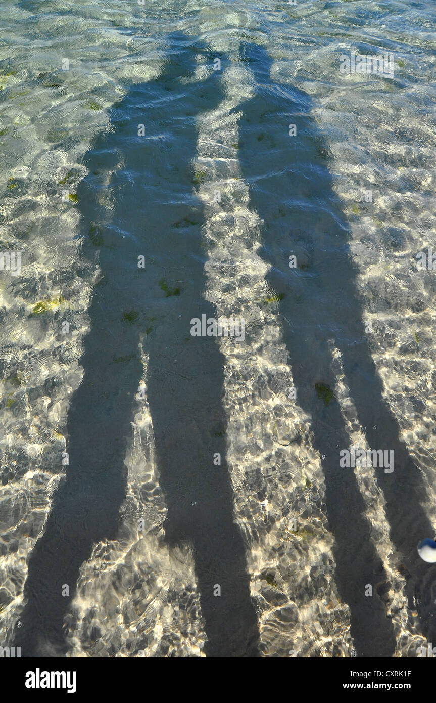 Shadow of a couple in the shallow water at the beach, Caribbean coast ...