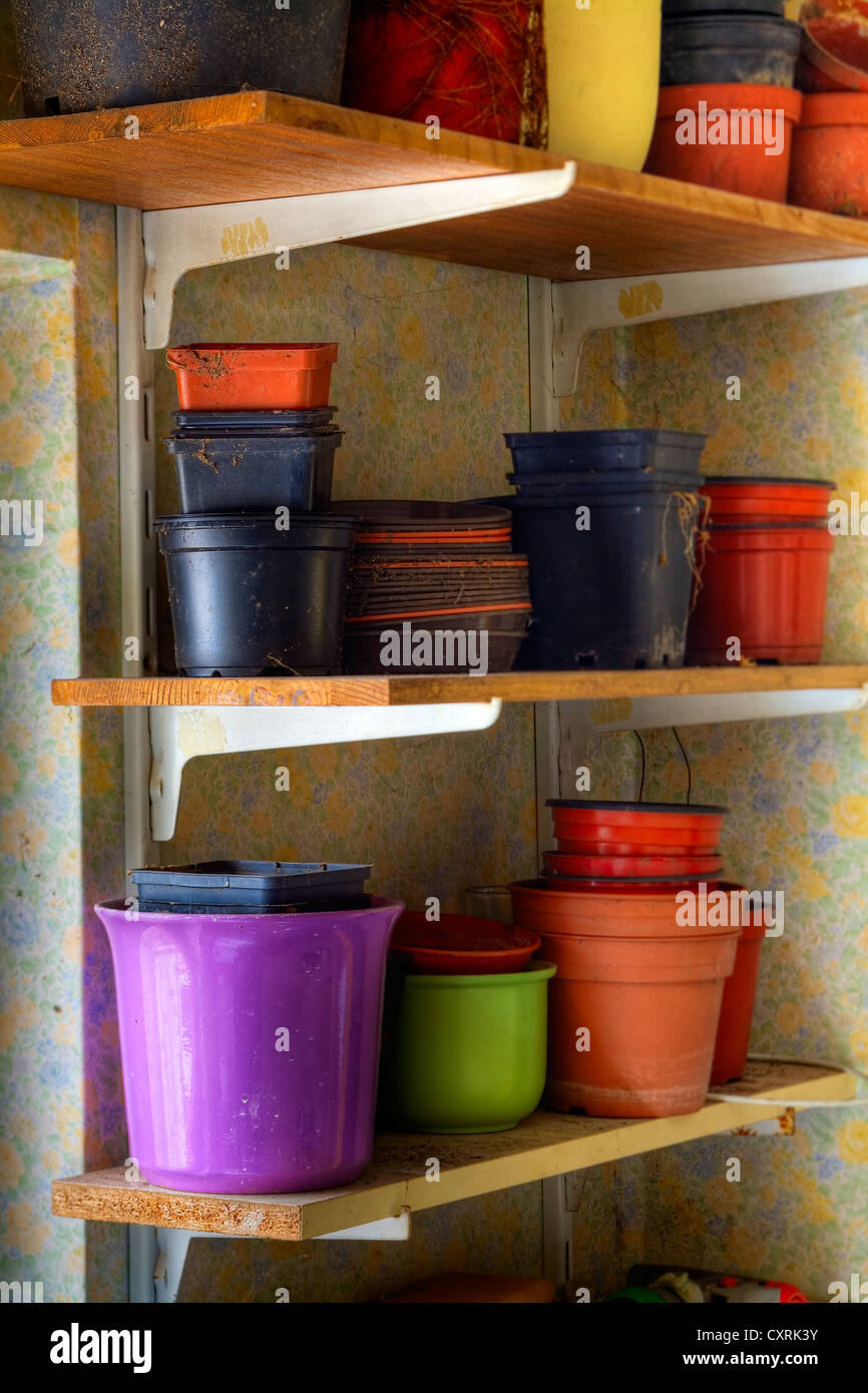 Close up of plant pots in a garden house Stock Photo - Alamy