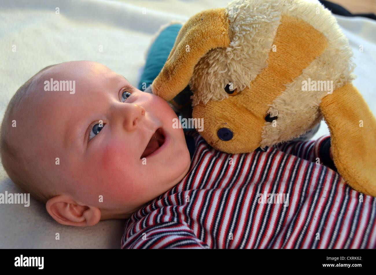 Baby, six months, with cuddly toy Stock Photo - Alamy