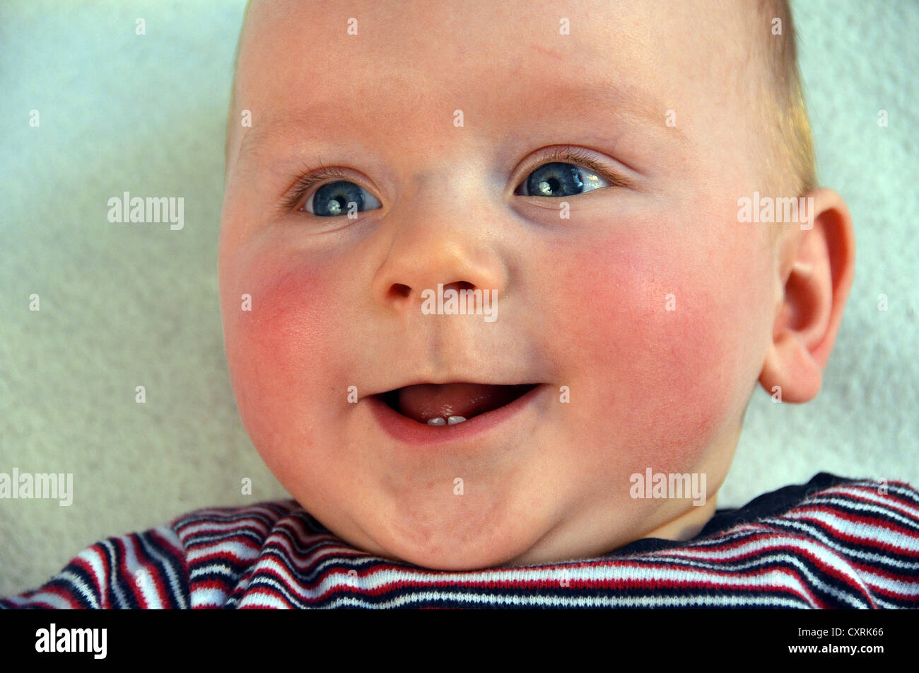 Baby, six months, portrait Stock Photo - Alamy