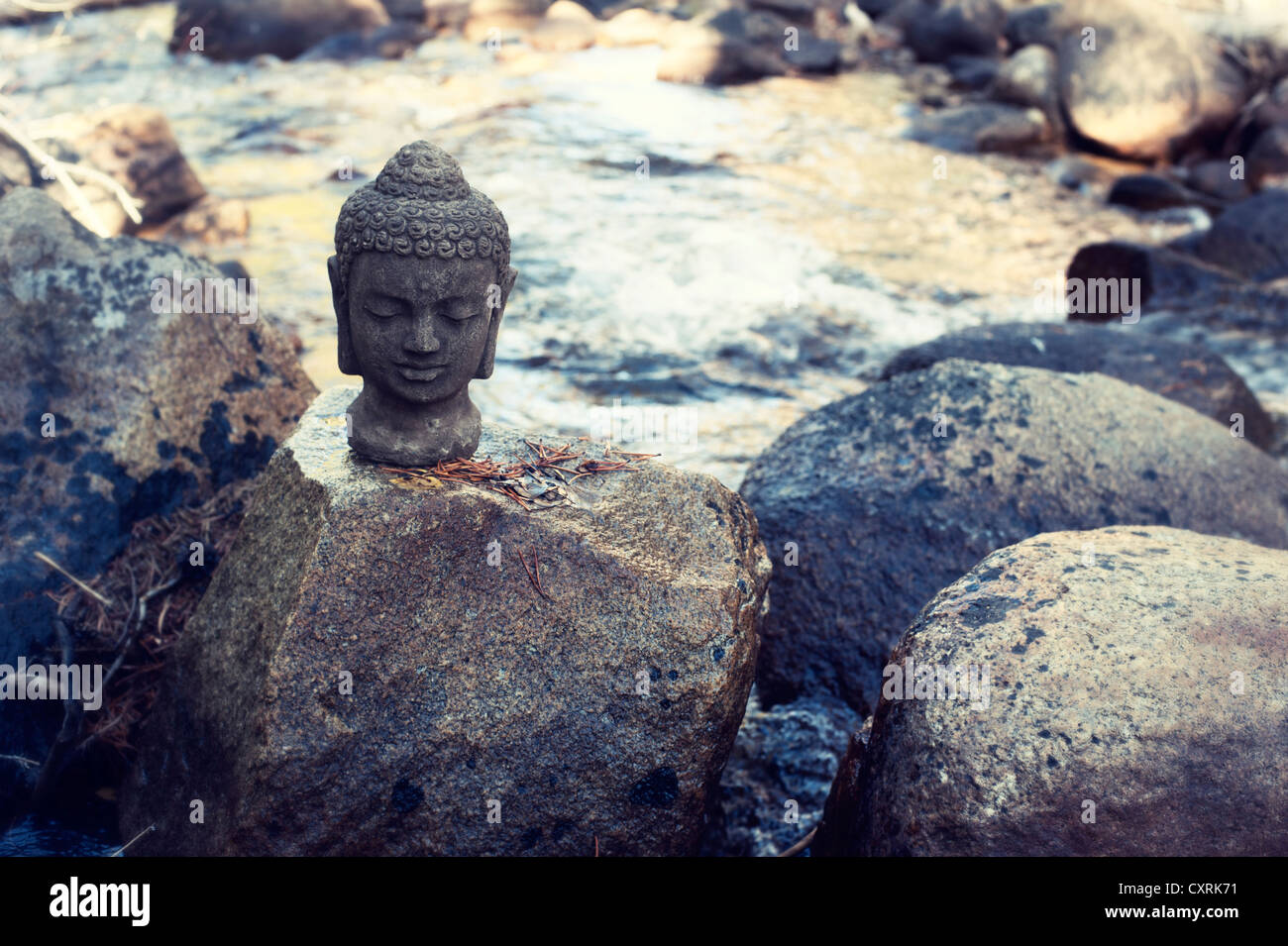 The soul buddha hi-res stock photography and images - Alamy