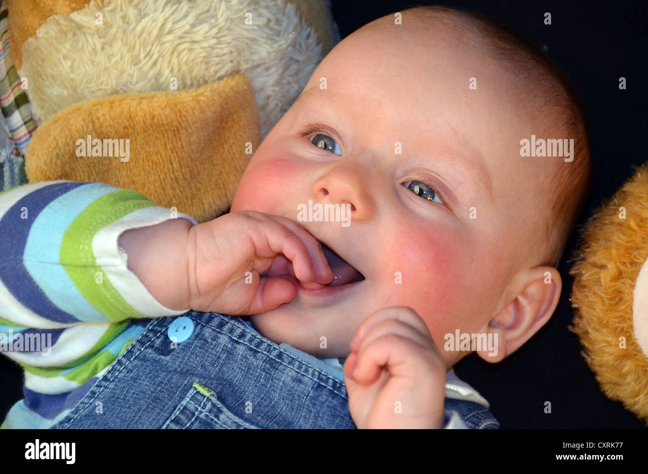 Back baby hi-res stock photography and images - Alamy