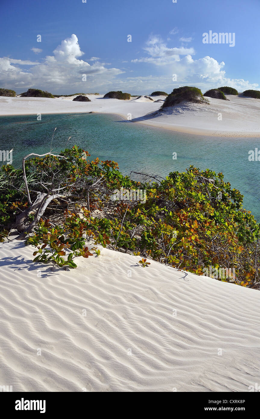 Blue Lagoon in Brazil's only desert "Lençóis Maranhenses", Maranhão ...
