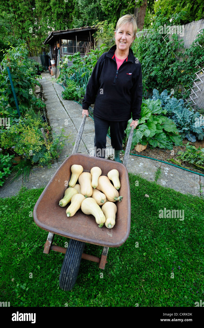 Wheelbarrow full vegetables hi-res stock photography and images - Alamy
