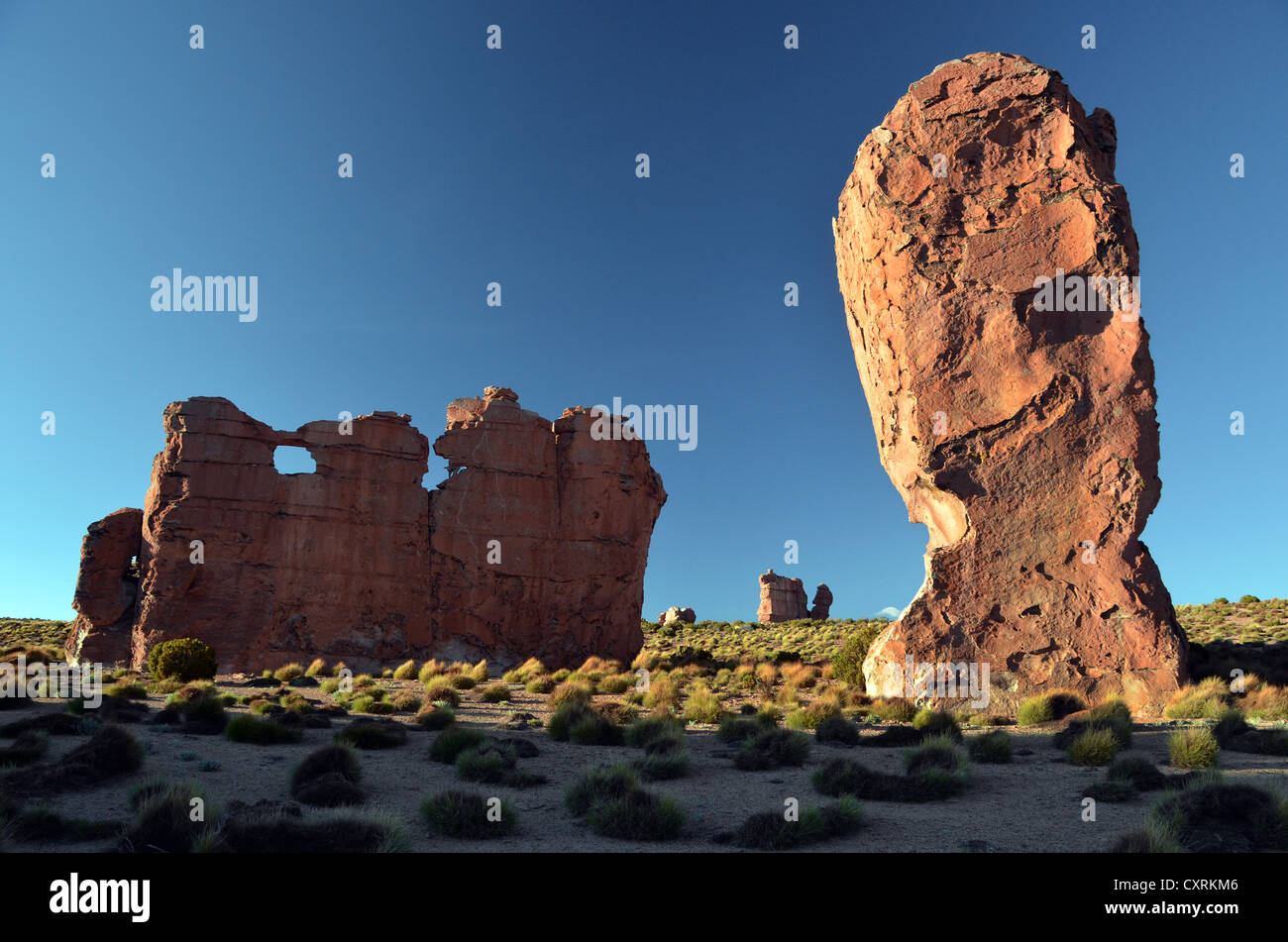 Rocks in the Valle de las Rocas, near Uyuni, Altiplano, Andean Triangle ...