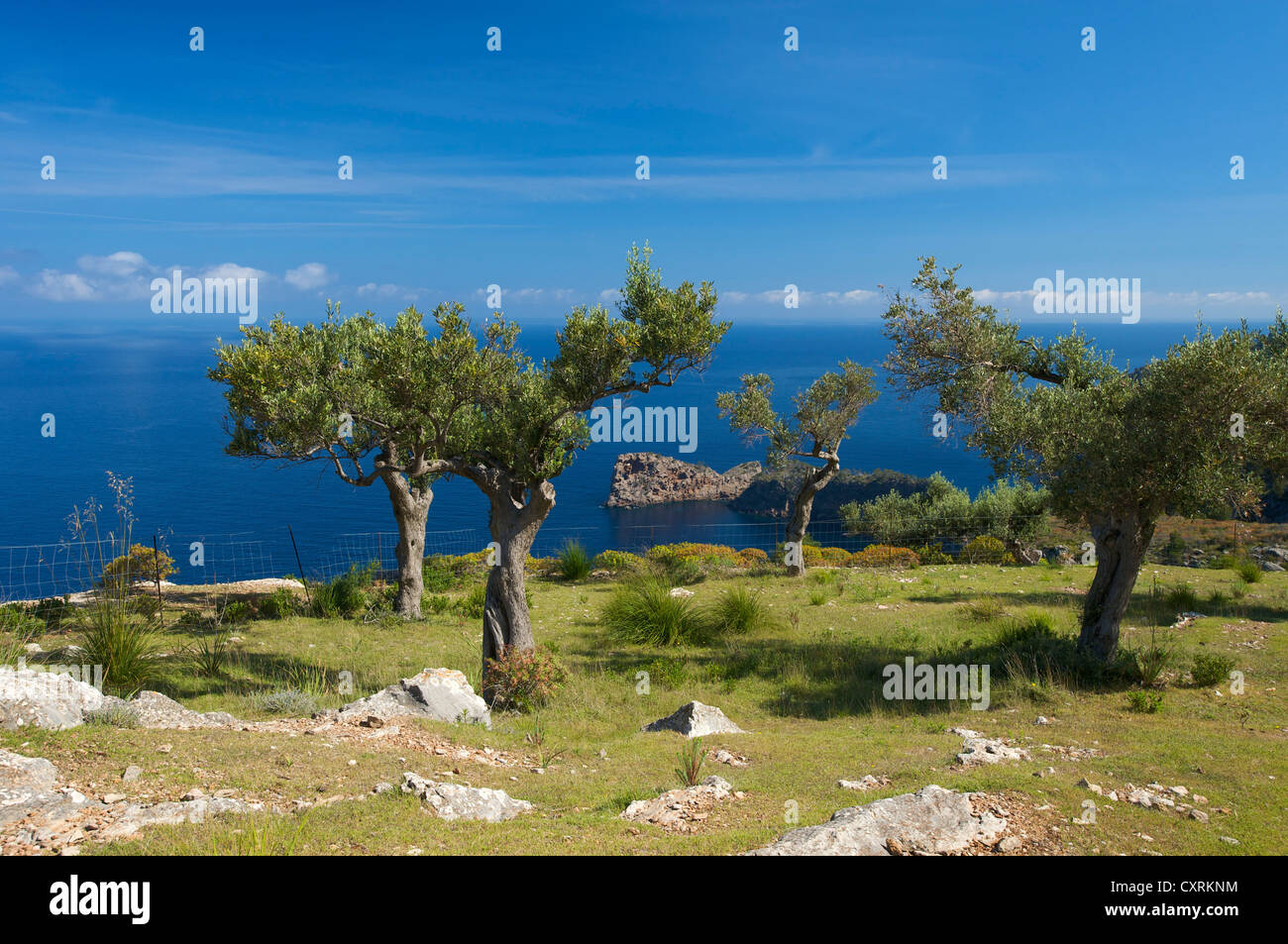 Miramar farm and headland at Sa Foradada near Valldemossa, Majorca ...