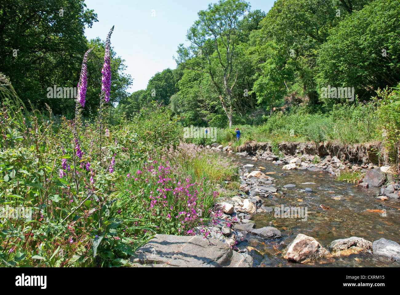 Valency valley hi-res stock photography and images - Alamy