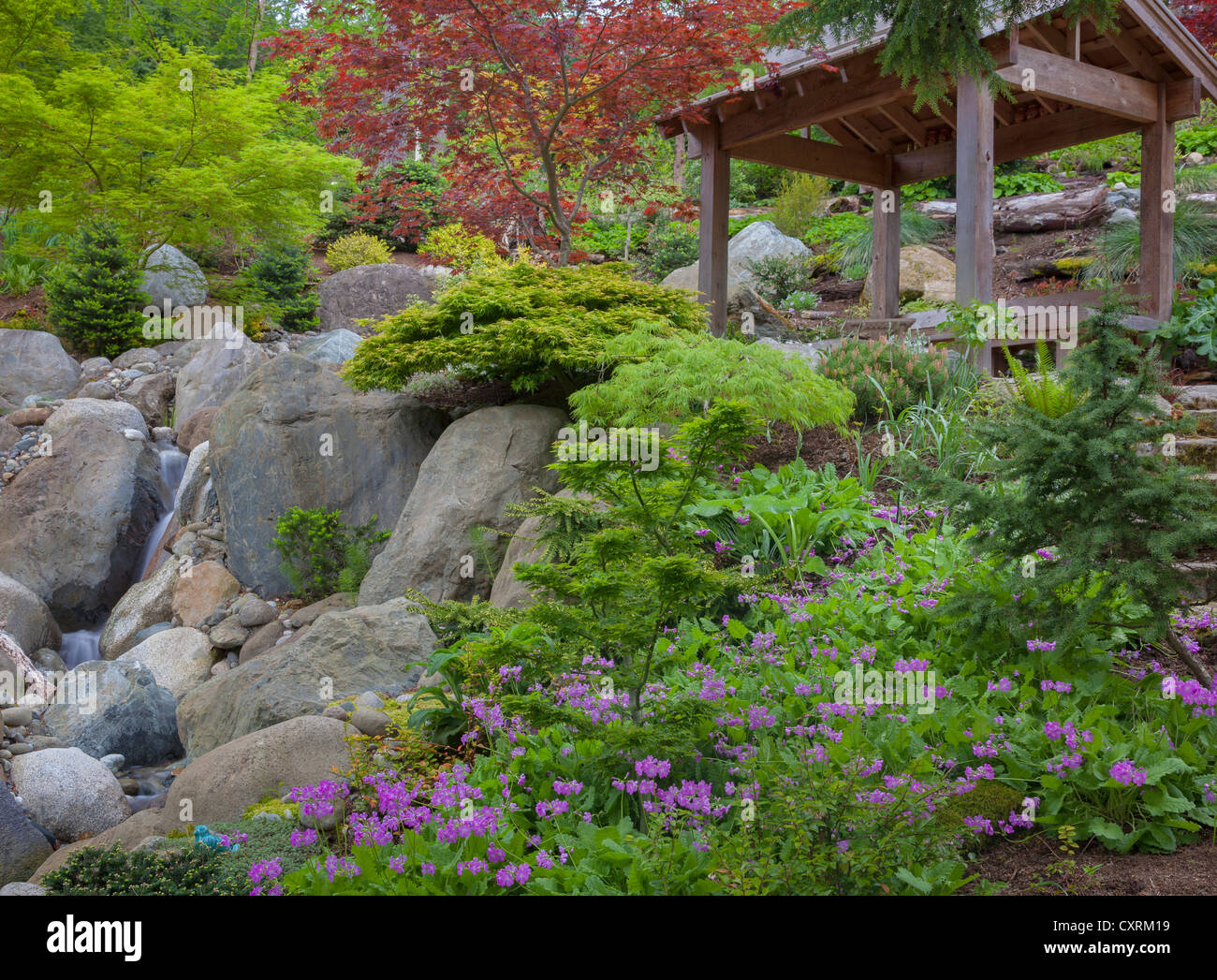 Vashon-Maury Island, WA: Covered seating area overlooks a woodland ...