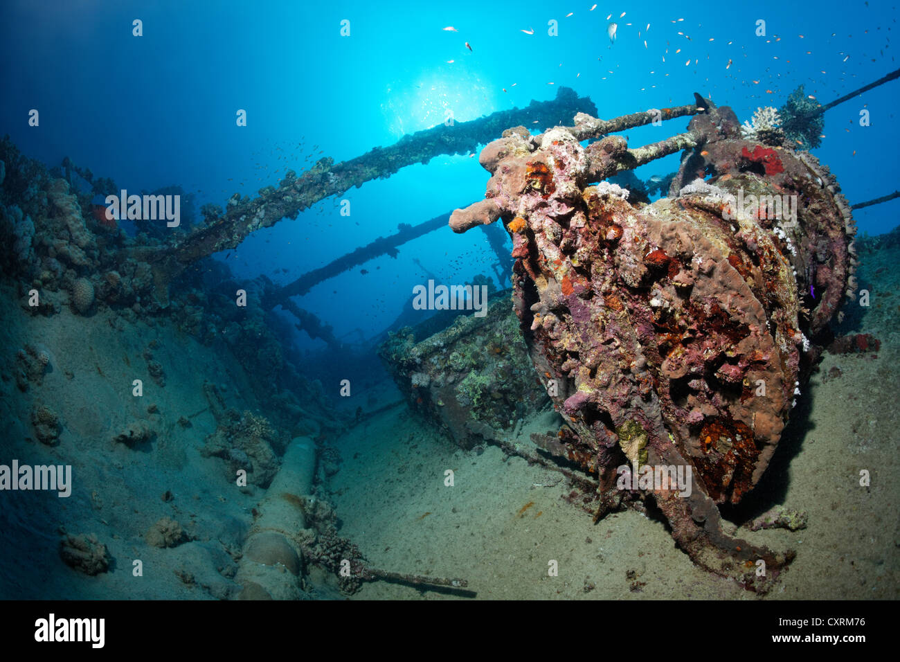 Red superstructure hi-res stock photography and images - Alamy