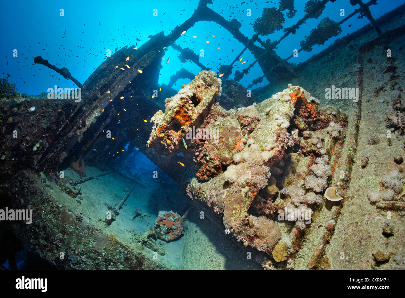 Shipwreck shipwrecks hi-res stock photography and images - Alamy