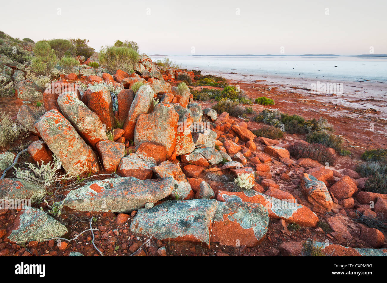 Rocks at the edge of Lake Gairdner Stock Photo - Alamy