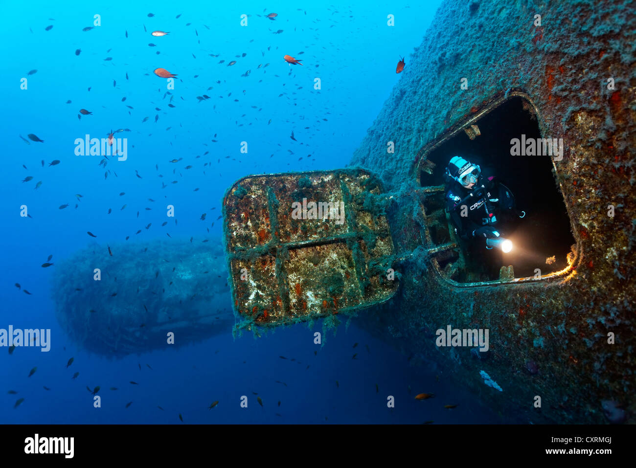 Diver emerging from water hi-res stock photography and images - Alamy