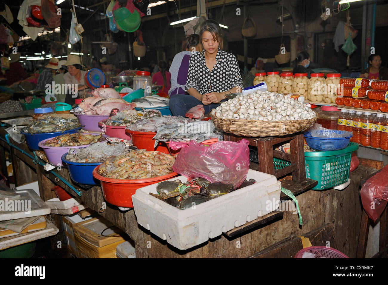 Fishmonger sitting among her fish, Old Market in Siem Reap, Cambodia ...
