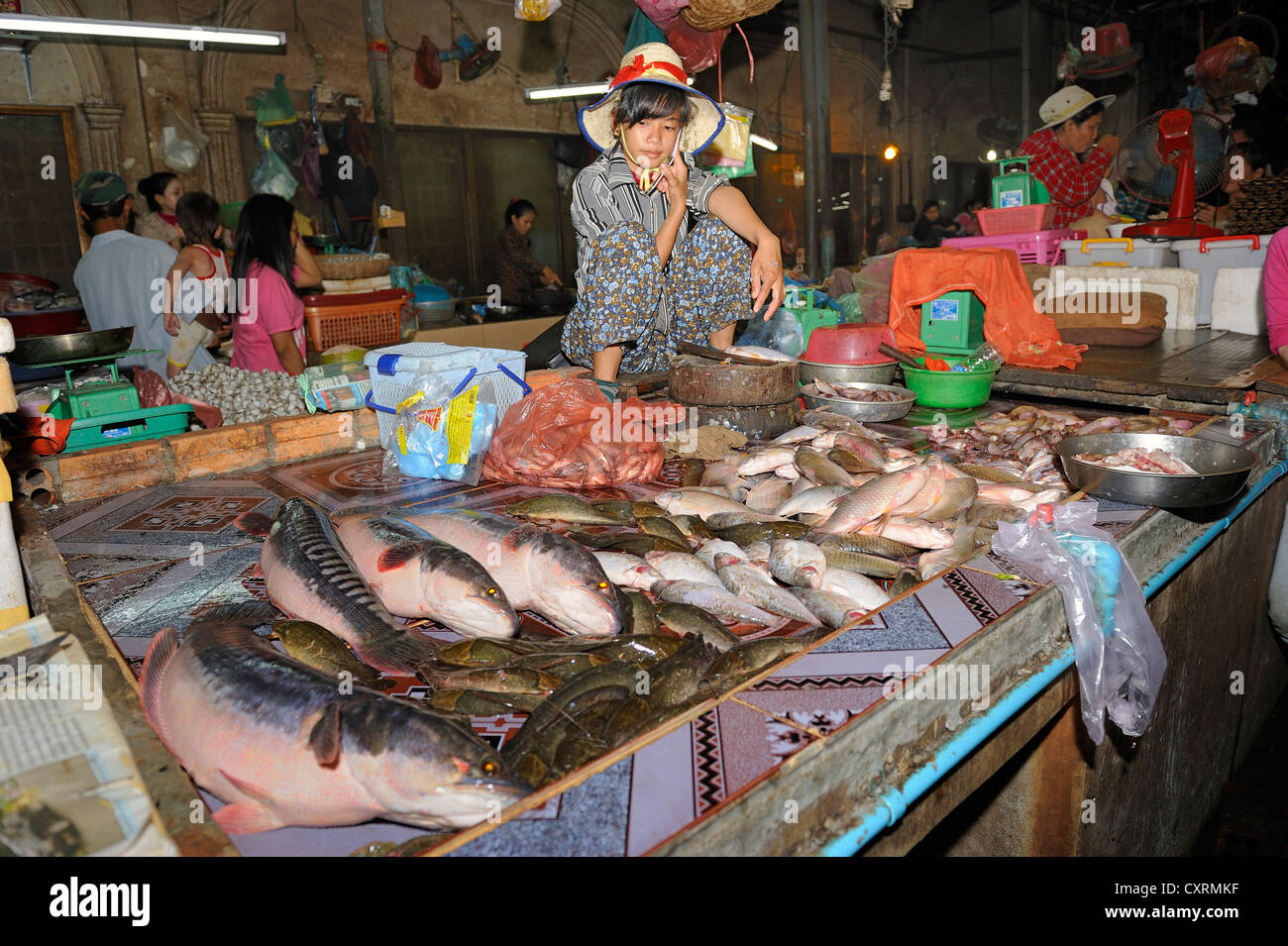Fishmonger sitting among her fish, Old Market in Siem Reap, Cambodia ...