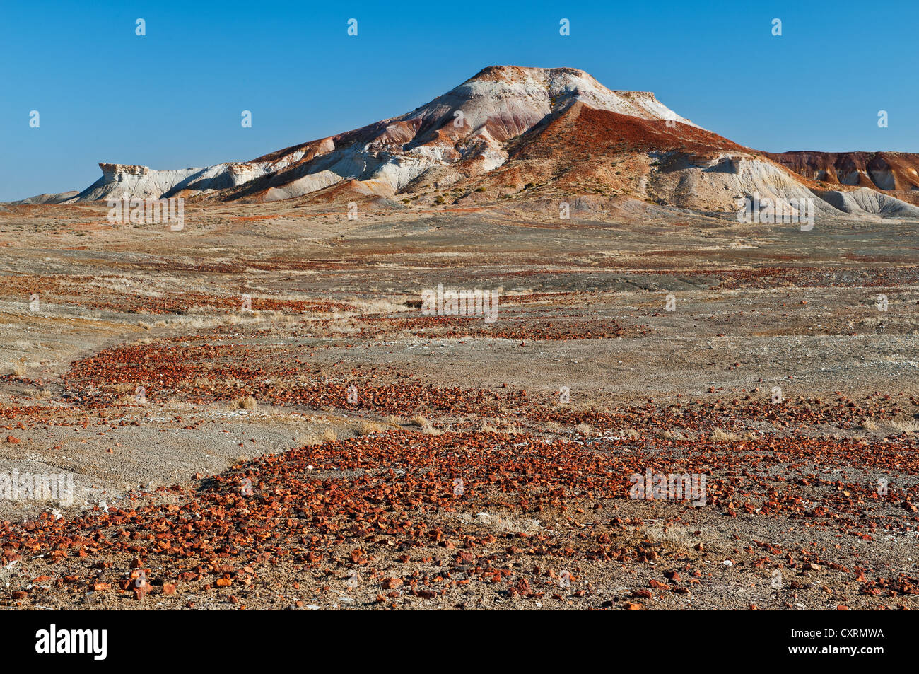 Colours of the Painted Desert Stock Photo - Alamy