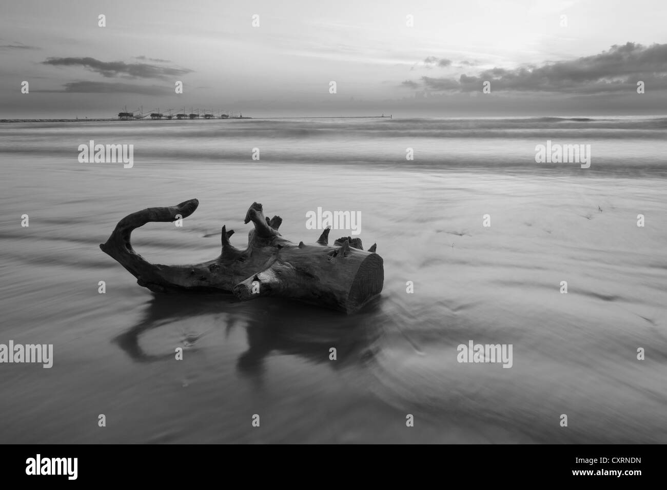 Trunk beach hi-res stock photography and images - Alamy