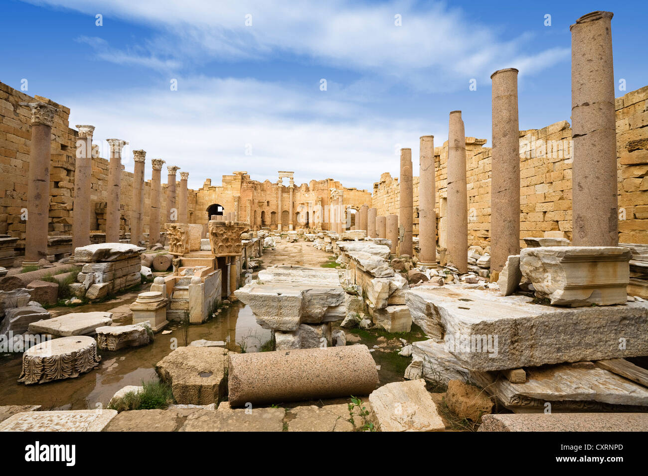 Severan Basilica, Archaeological Site of Leptis Magna, Libya, Africa ...