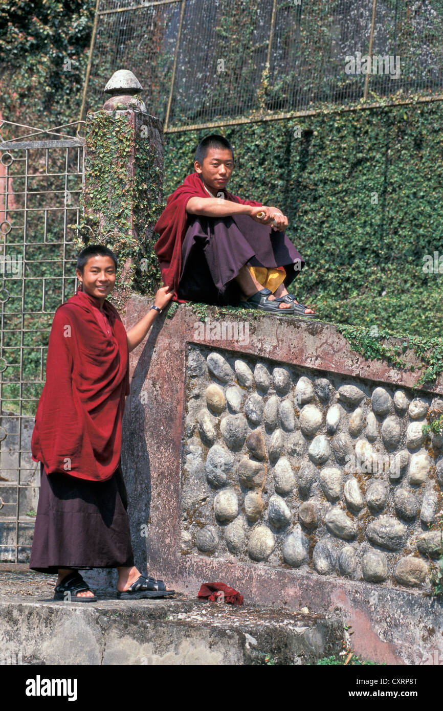 Young monks at the Rumtek Monastery or Dharma Chakra Centre, Tibetan ...