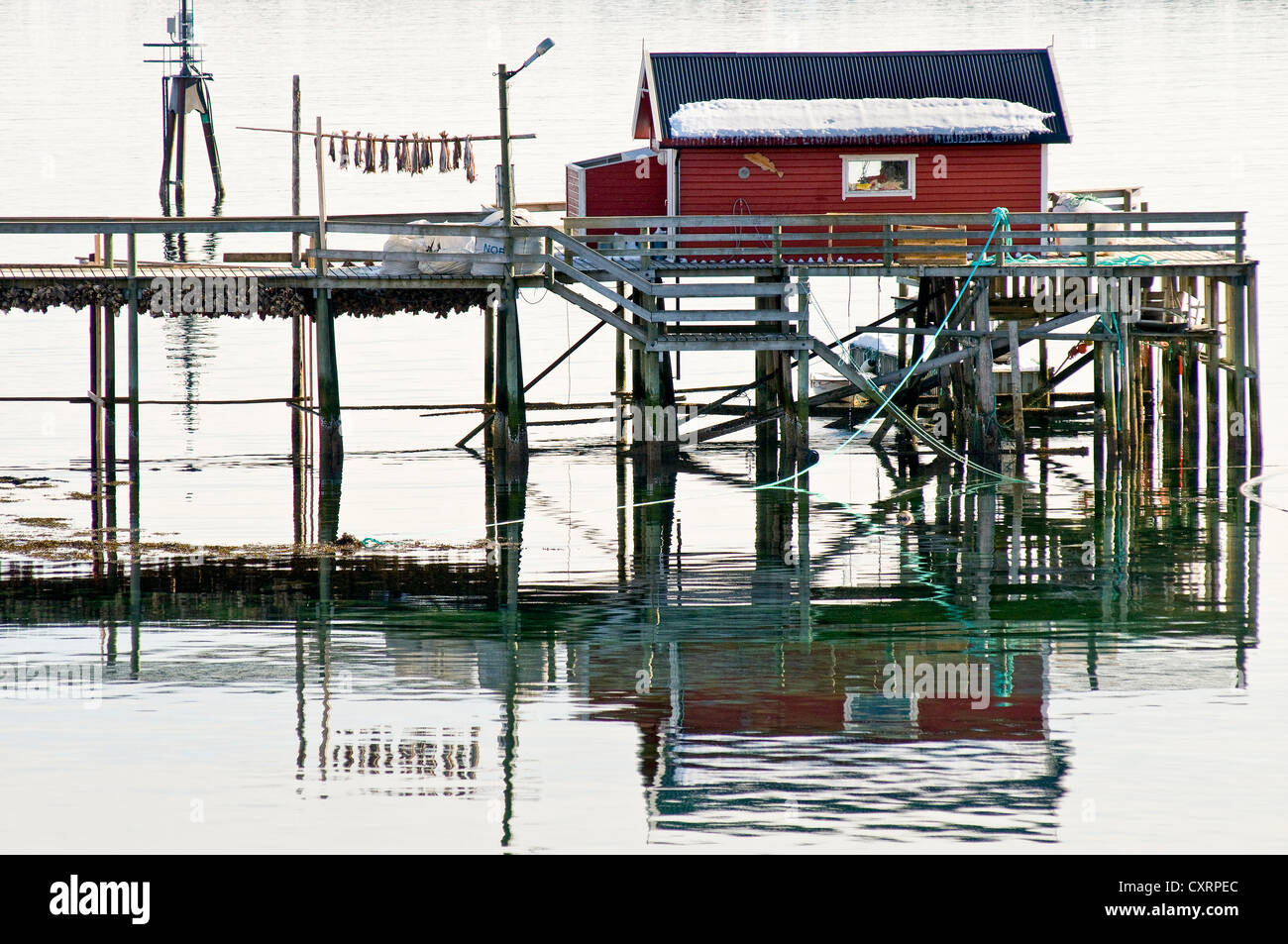 Rorbu lofoten islands hi-res stock photography and images - Alamy