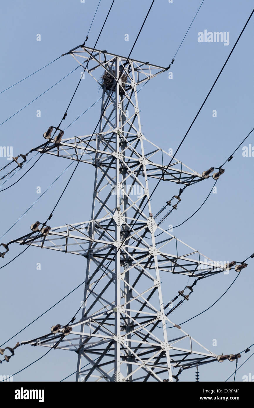 Electricity Pylon and power line Stock Photo - Alamy