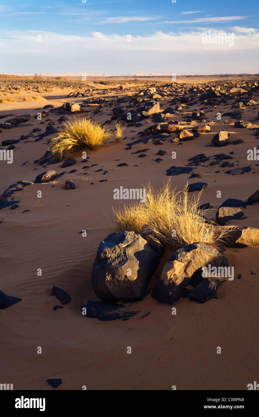 Light and shadows in the Libyan Desert, rocky desert, Libya, Sahara ...