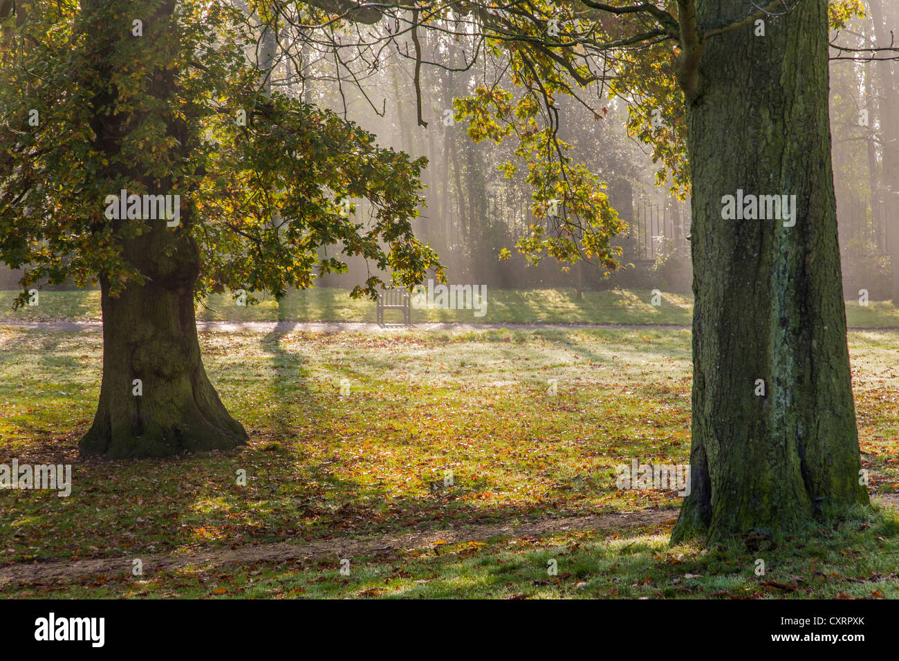 Autumn leaves in Waterlow Park, Highgate, London Stock Photo - Alamy