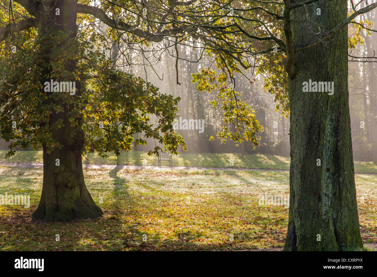Autumn leaves in Waterlow Park, Highgate, London Stock Photo - Alamy