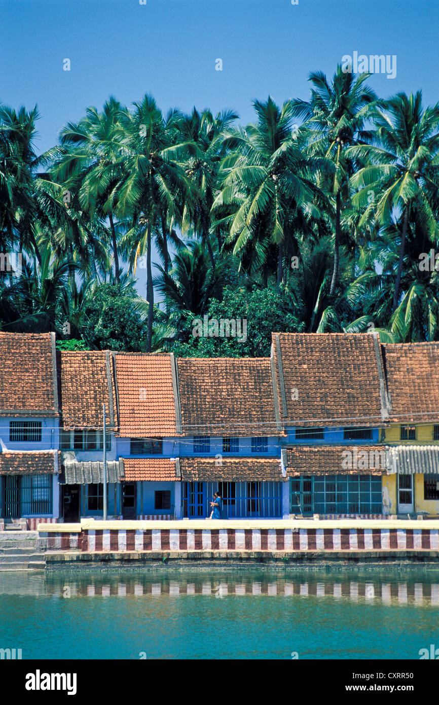 Palm trees and houses surrounding the temple pond, Tamil village near ...