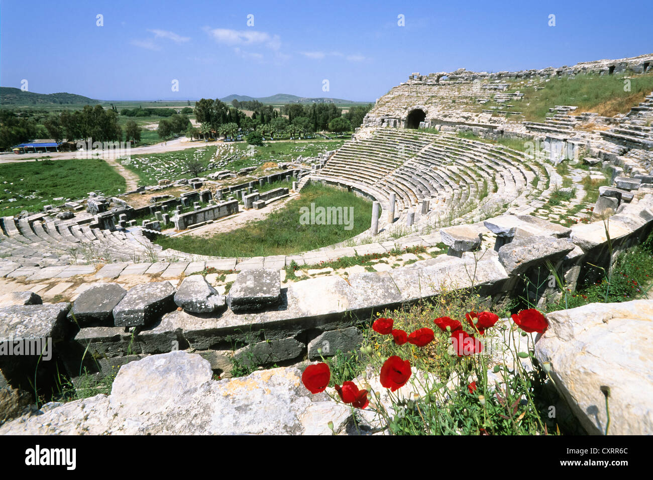 Miletus Stock Photos & Miletus Stock Images - Alamy