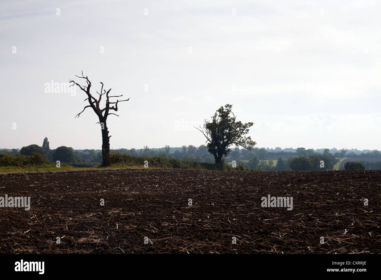Rural landscape decay death field hi-res stock photography and images ...