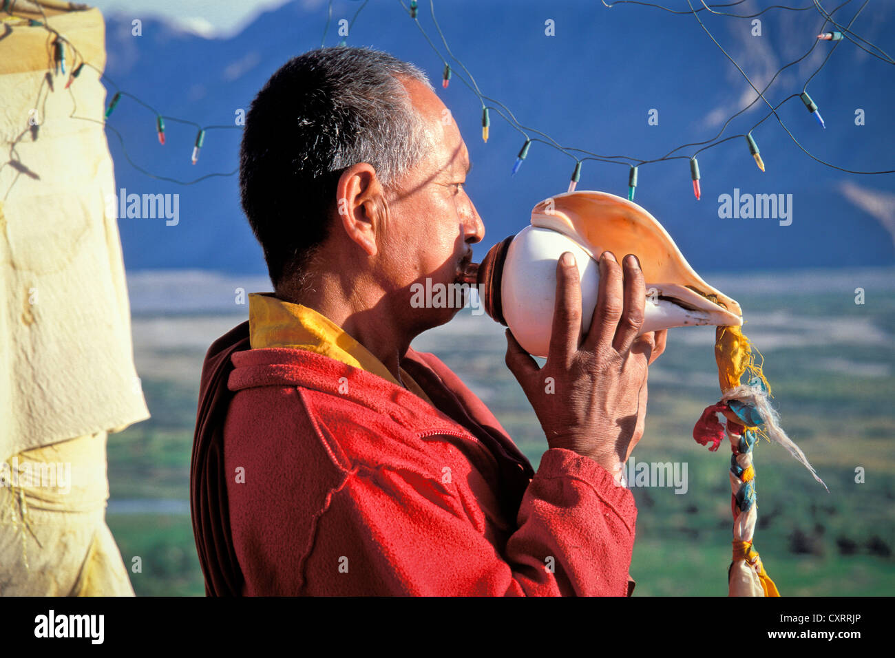 Conch shell india hi-res stock photography and images - Alamy
