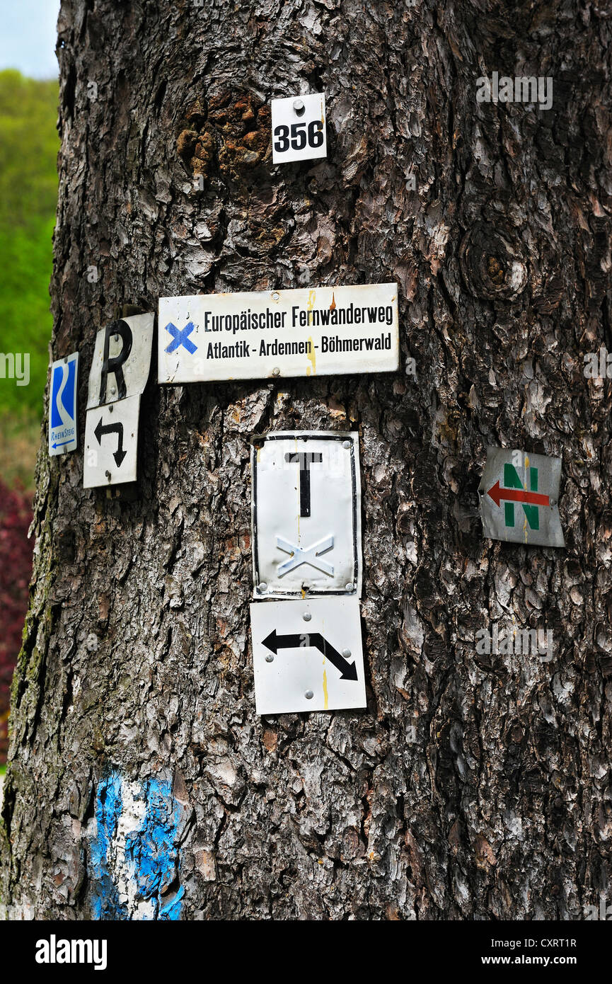 Numerous signs for hiking trails on a tree trunk, Schlangenbad, Hesse ...