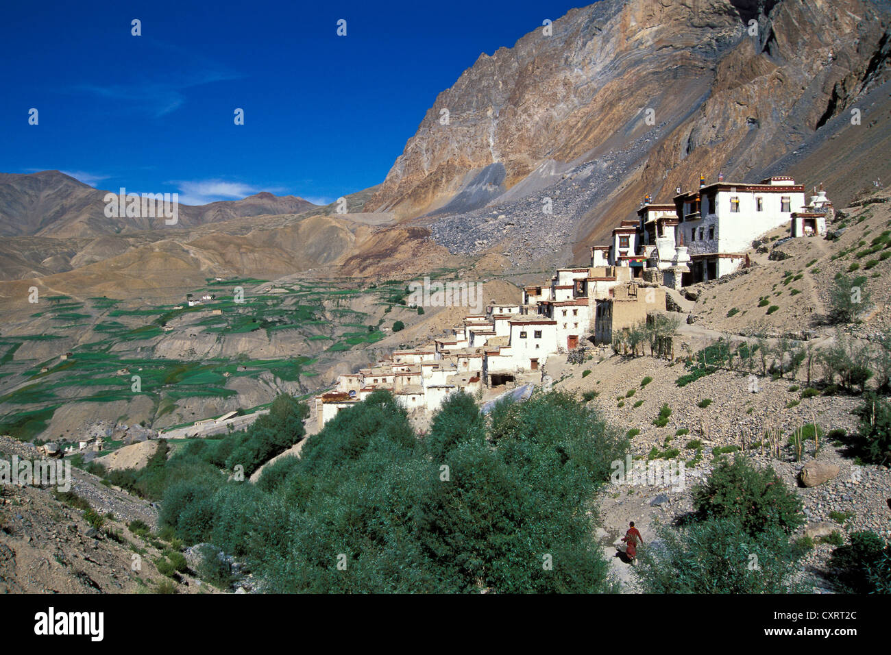Lingshed monastery zanskar india hi-res stock photography and images ...