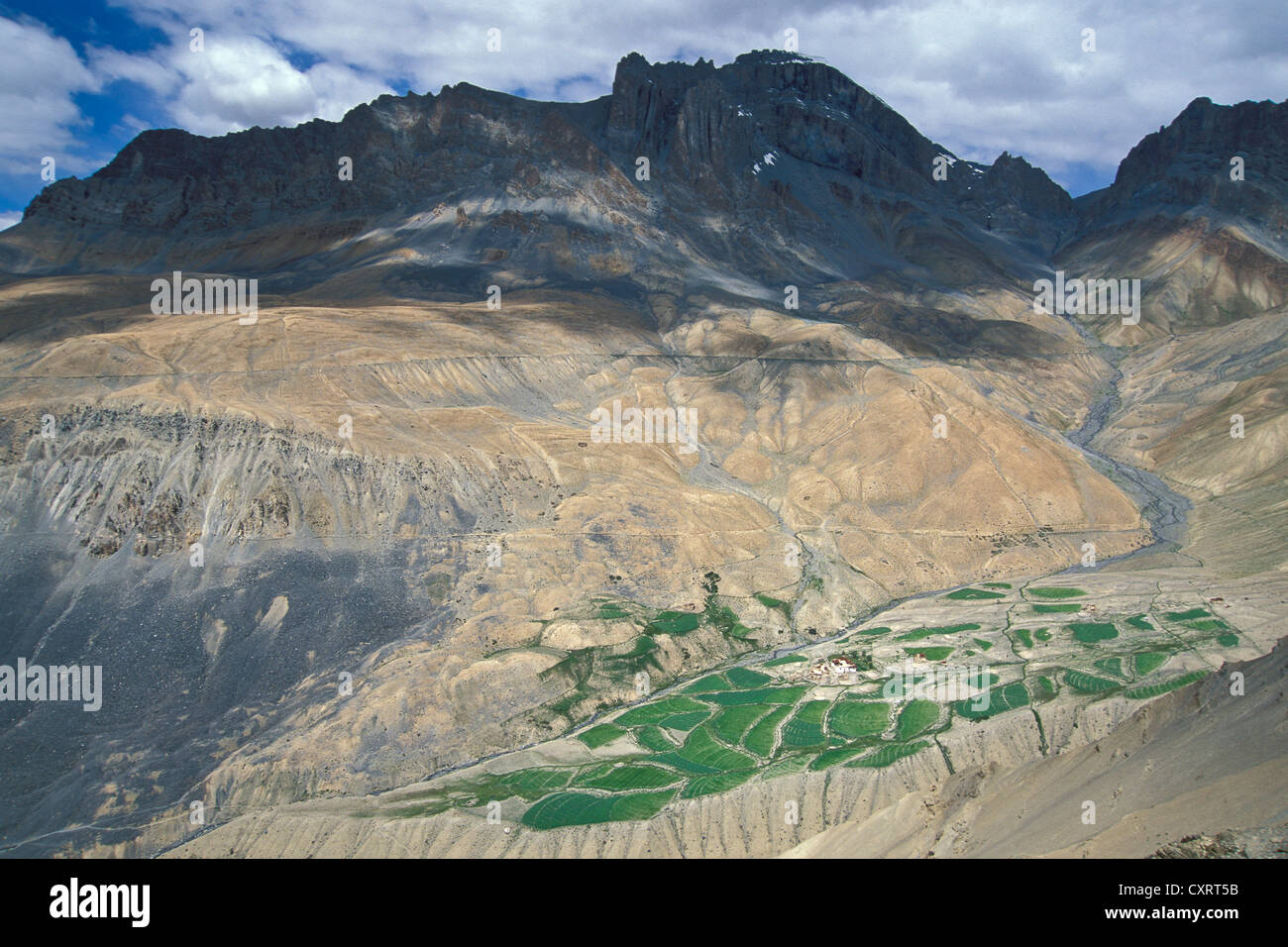 Fields and houses at Lingshed, Zanskar, Ladakh, Jammu and Kashmir, high ...