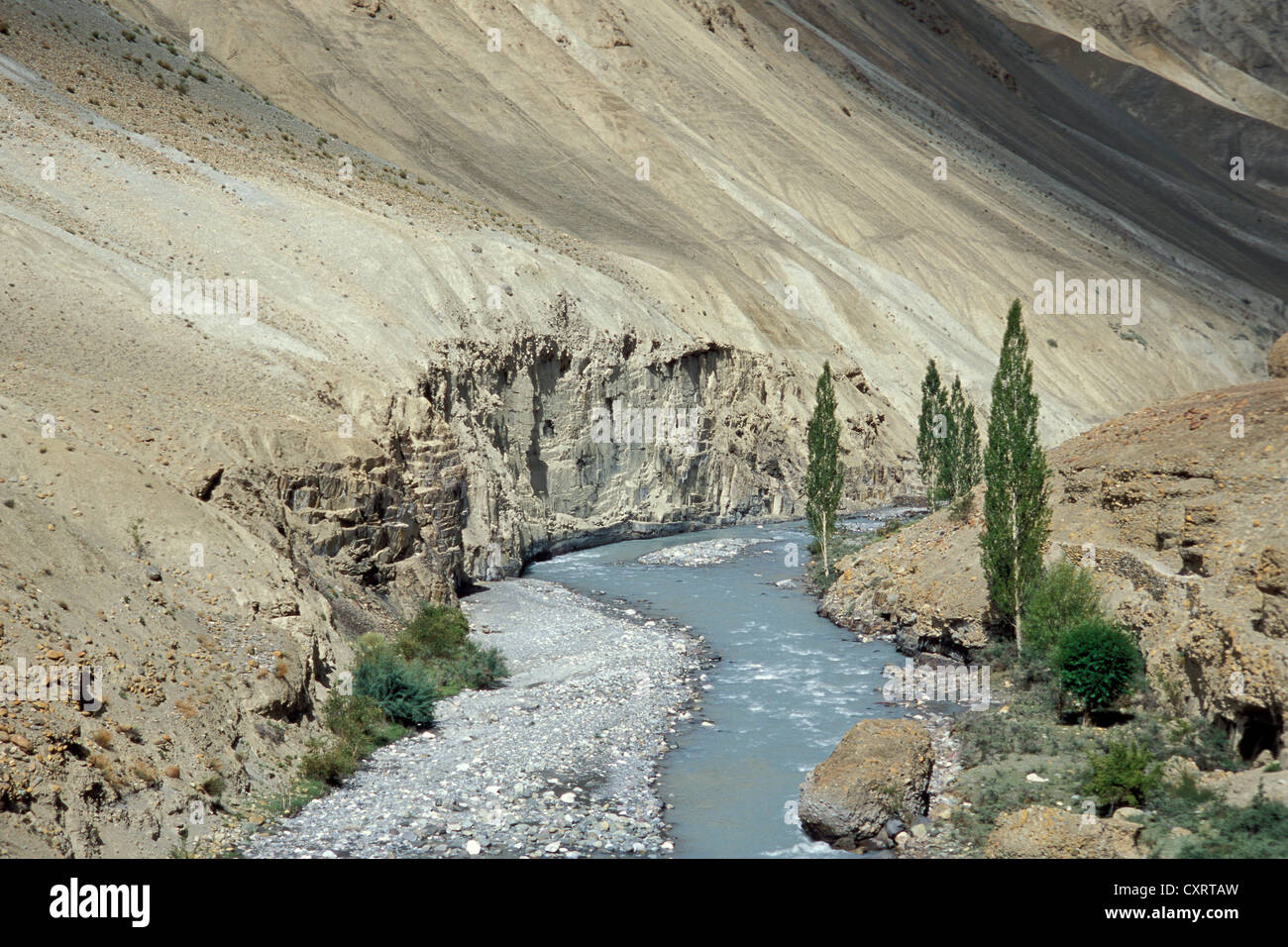 Poplar trees ladakh jammu kashmir hi-res stock photography and images ...