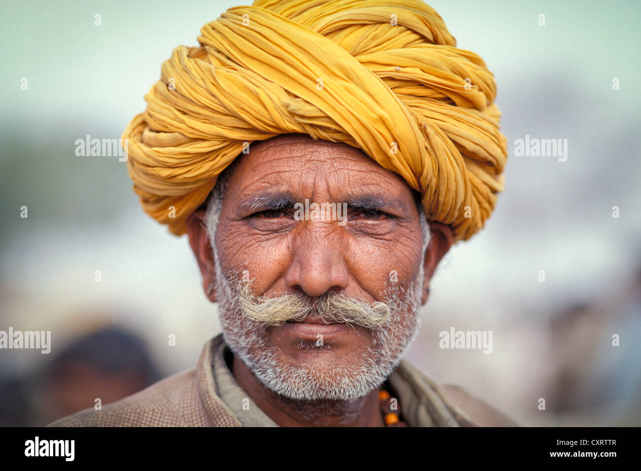 Camel trader with a yellow turban, portrait, camel and cattle market of ...