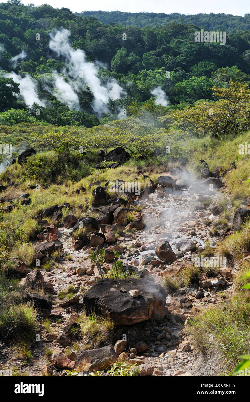 Fumaroles, Guanacaste province, Rincon de la Vieja National Park, Costa ...