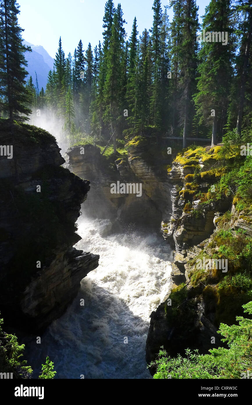 Gorge below athabasca falls in hi-res stock photography and images - Alamy