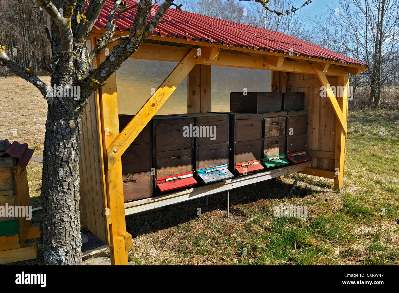 Beehouses hi-res stock photography and images - Alamy