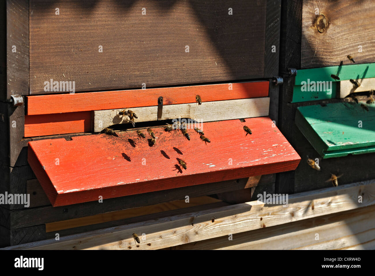 Bee hives europe hi-res stock photography and images - Alamy