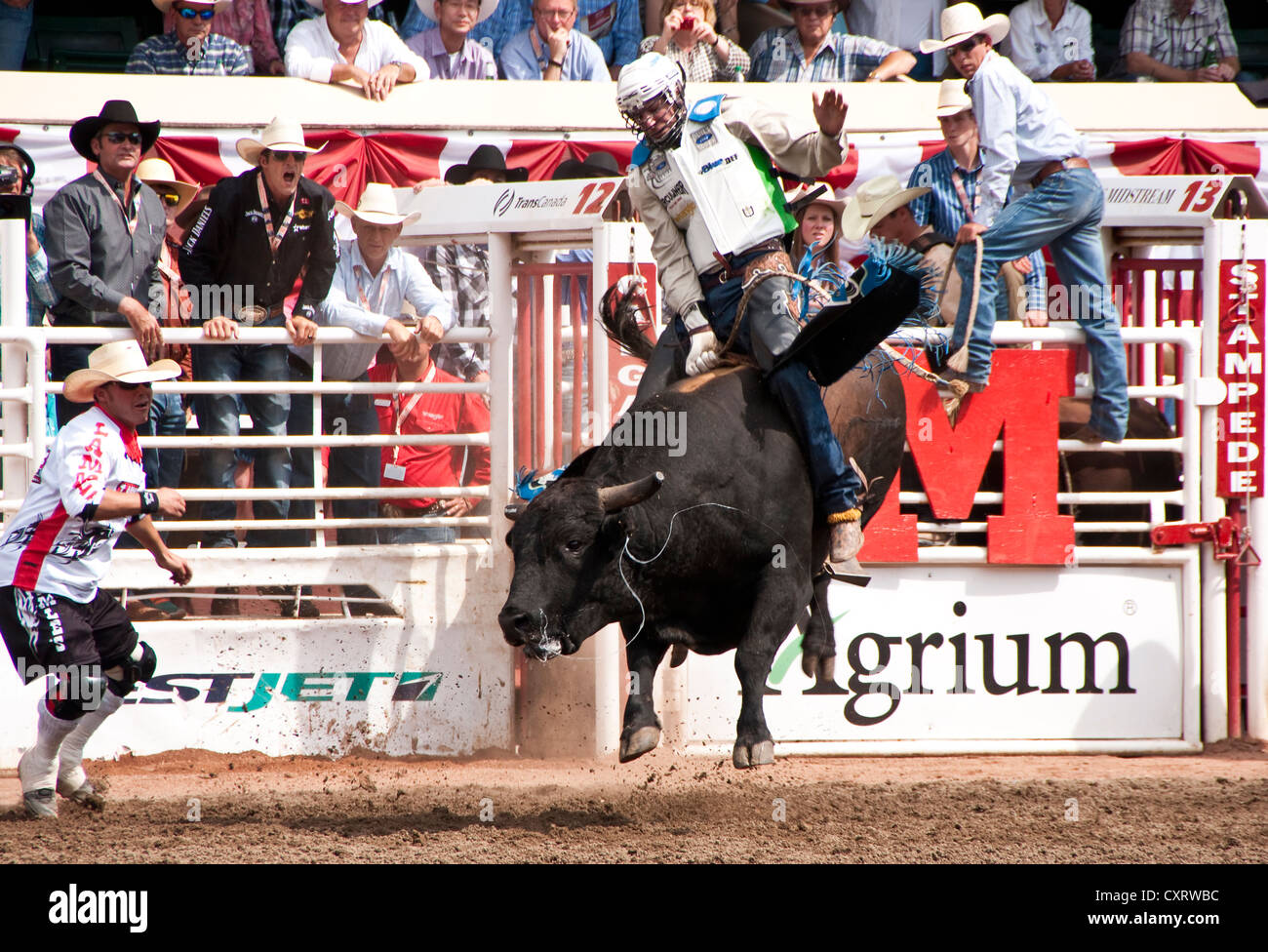 Bull rider at calgary stampede hi-res stock photography and images - Alamy