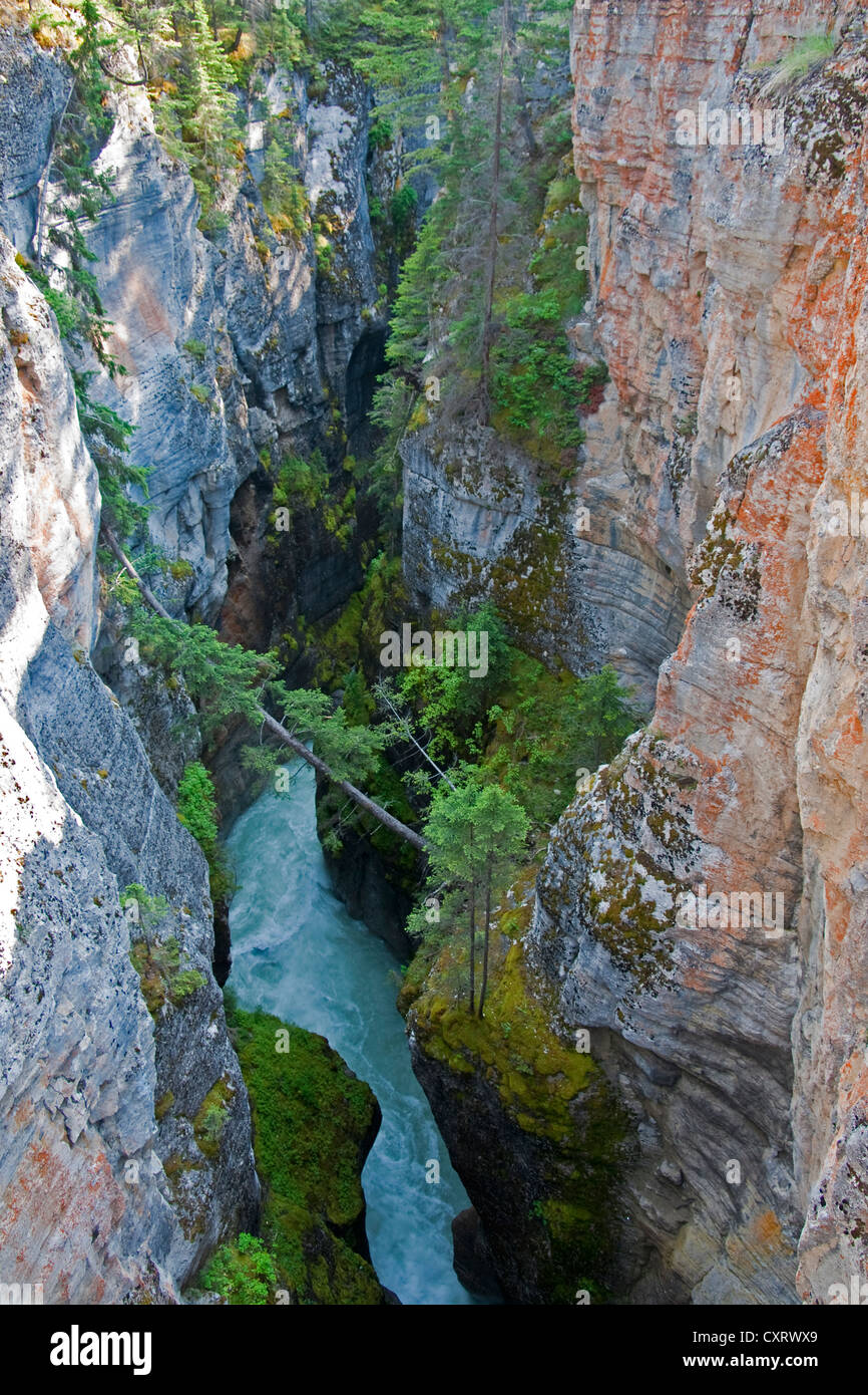 Maligne Canyon with Maligne River at deepest section in Jasper National ...