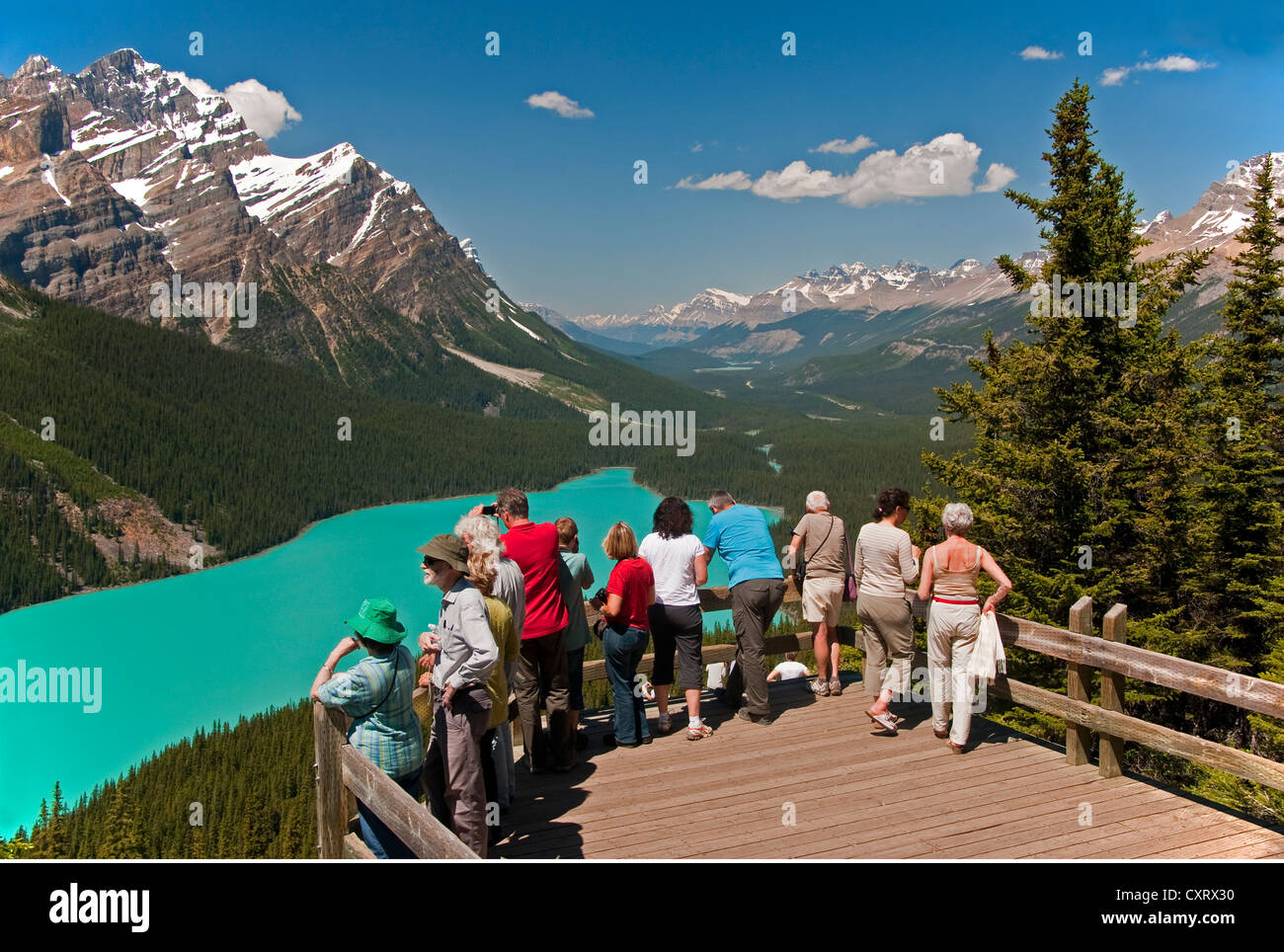 Tourists at Peyto Lake overlook in Banff National Park, Alberta Stock ...