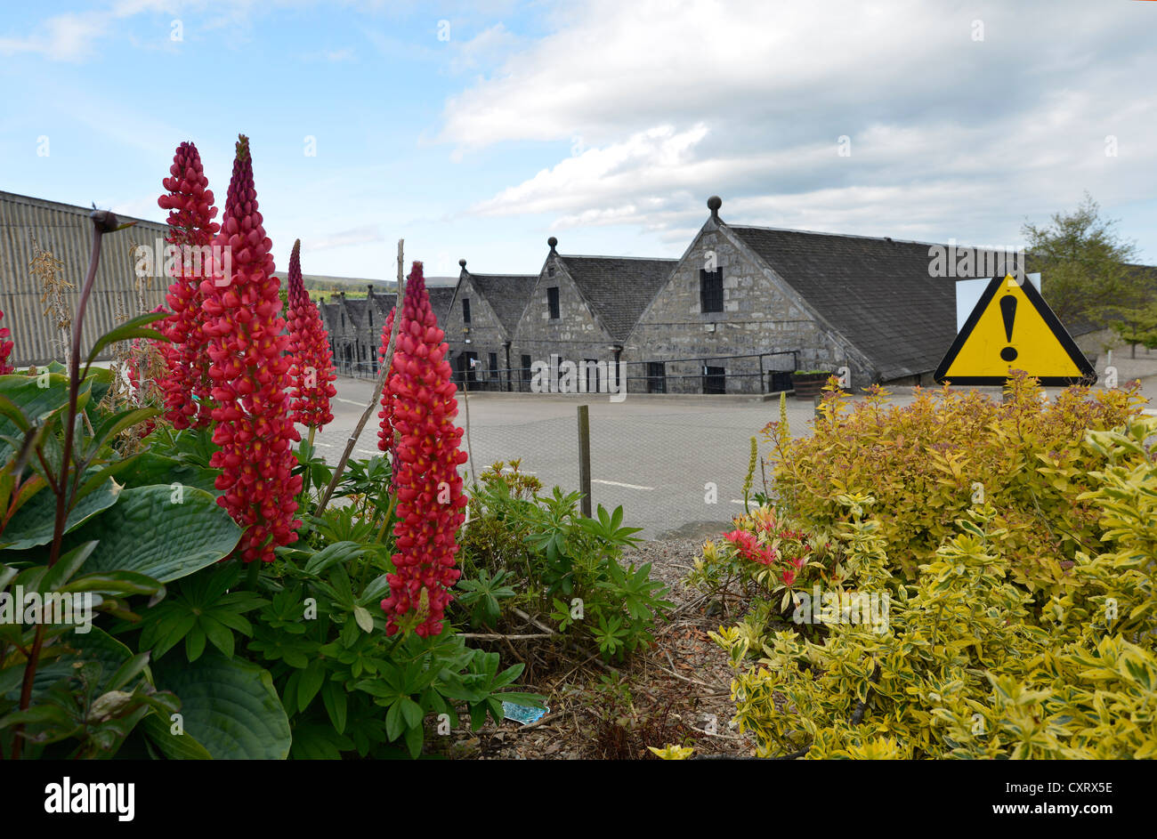 View of the disused Clynelish distillery in Brora, Sutherland, Scotland ...