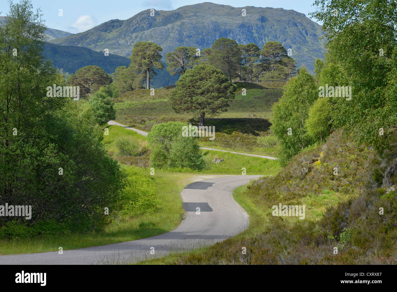 Cannich Scotland High Resolution Stock Photography and Images - Alamy