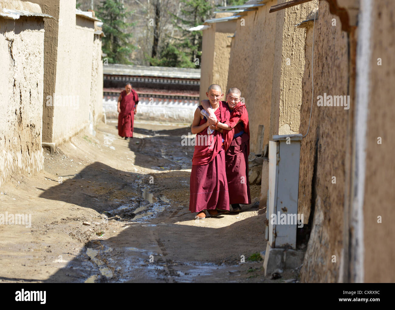 Buddhist monks at labrang hi-res stock photography and images - Alamy