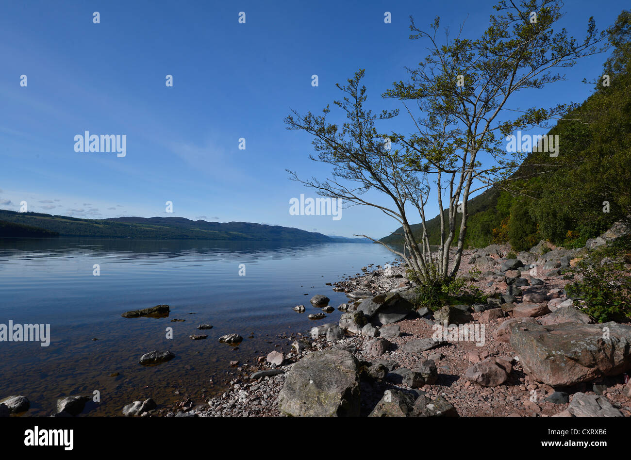 Loch Ness near Inverness, Scotland, United Kingdom, Europe Stock Photo ...