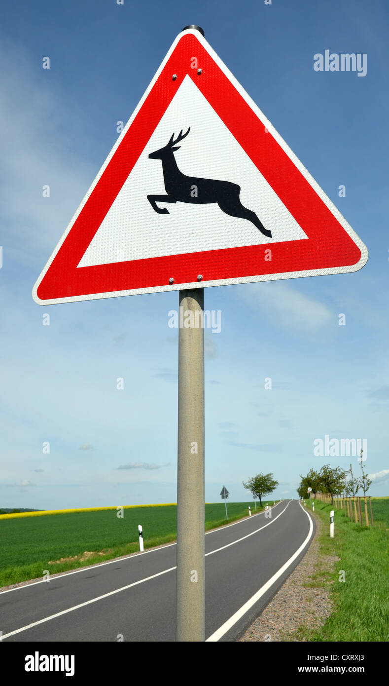 Deer street germany hi-res stock photography and images - Alamy