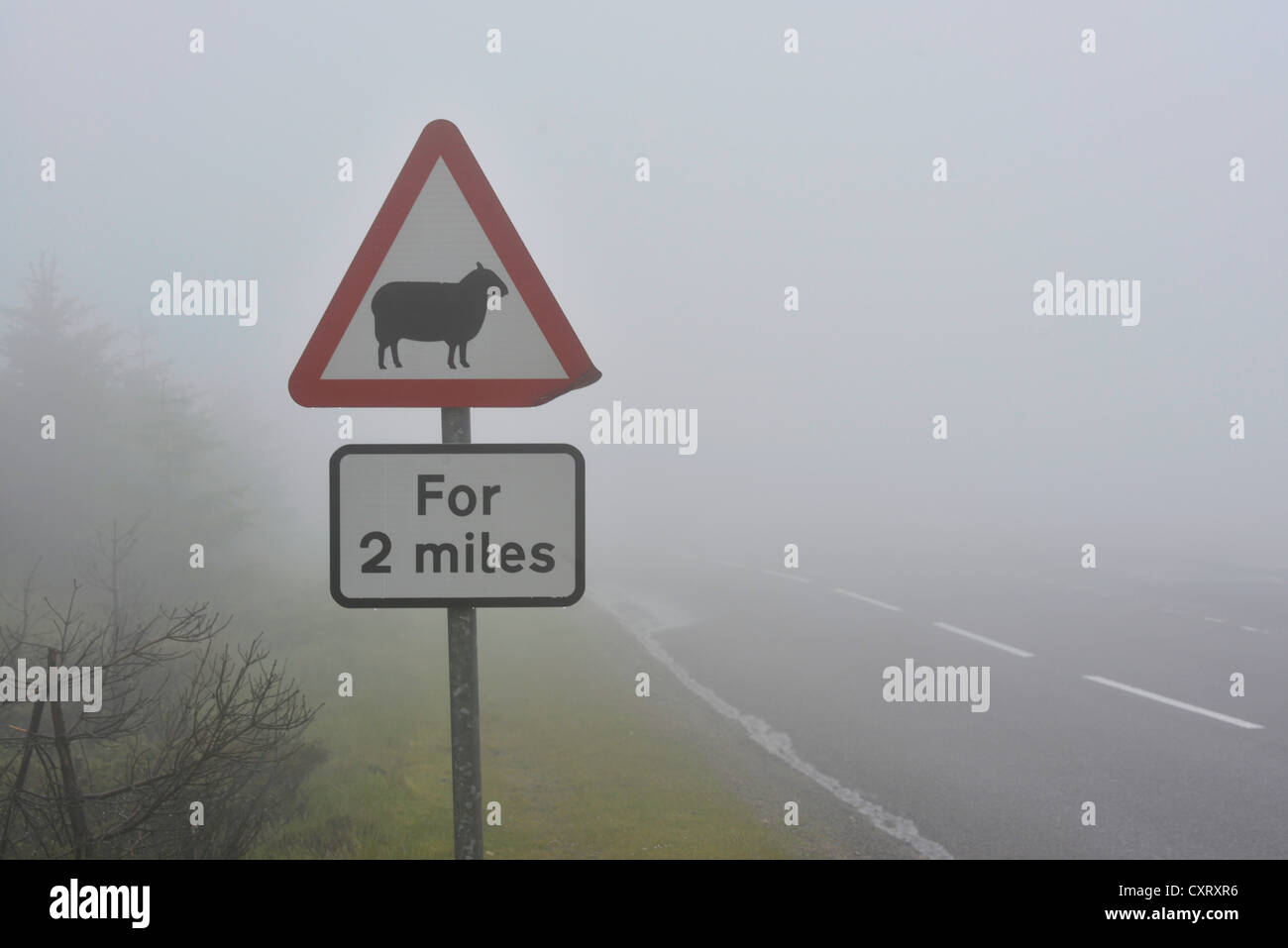 Dense fog warning sign hi-res stock photography and images - Alamy