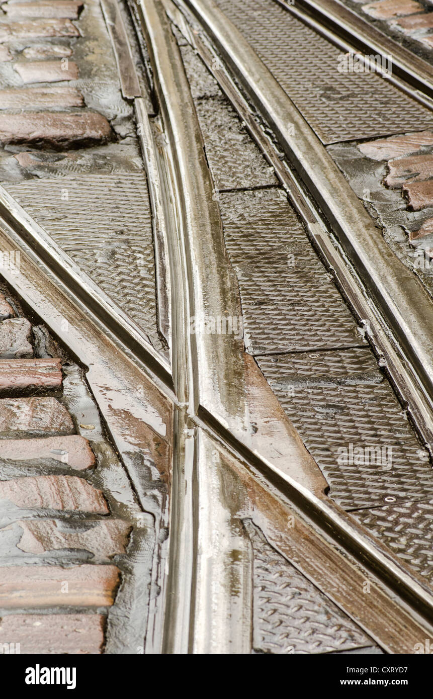 Tramway tram crossing road hi-res stock photography and images - Alamy